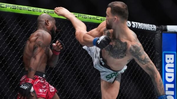 Who Has The Best Spinning Kick Knockout In UFC? - Sidekick Boxing
