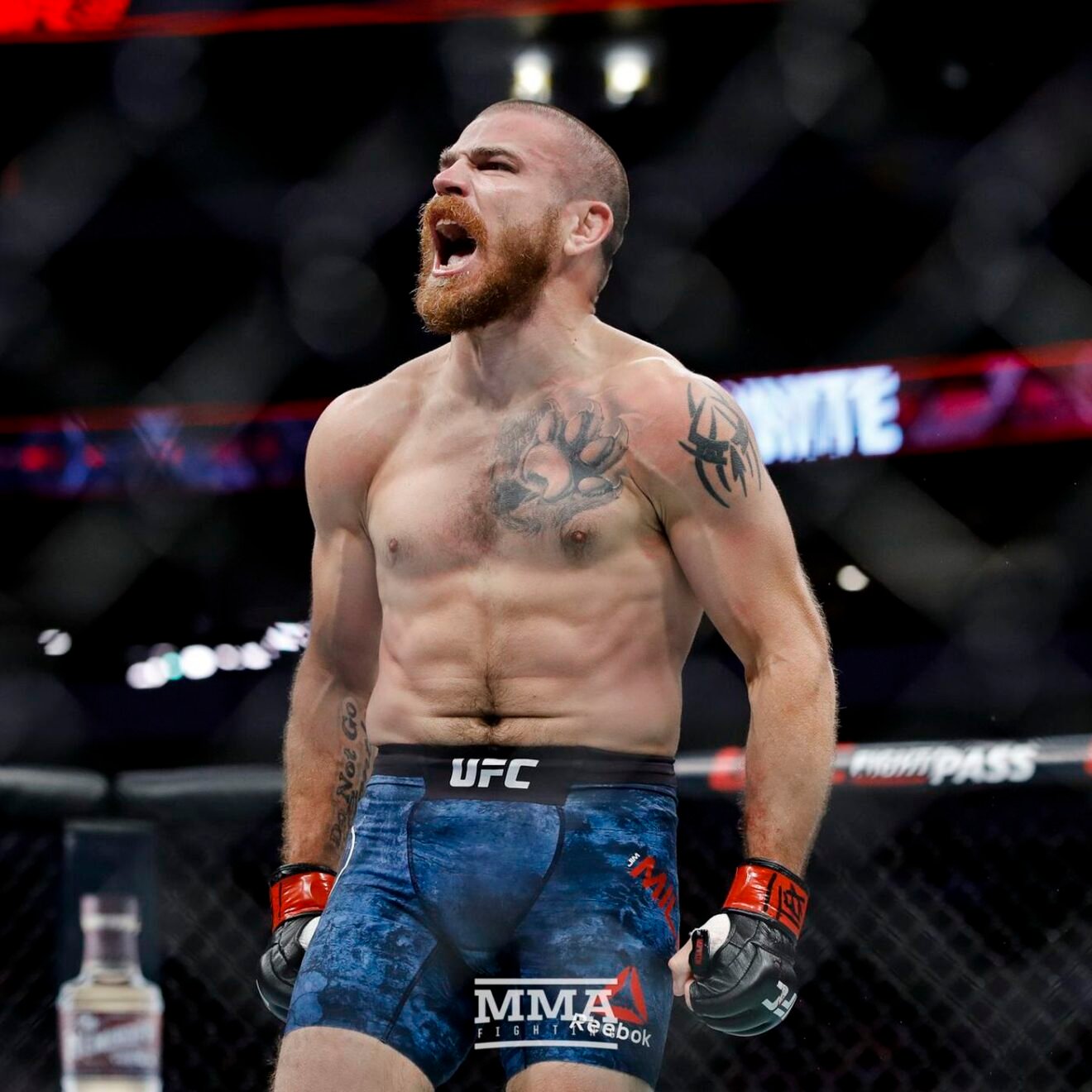 Top 10 UFC Fighters with the Most Fights in UFC History - Sidekick Boxing
