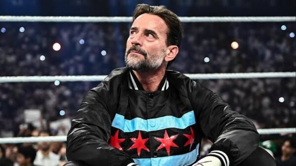 From the Ring to the Octagon: WWE Stars Who Entered the UFC - Sidekick ...