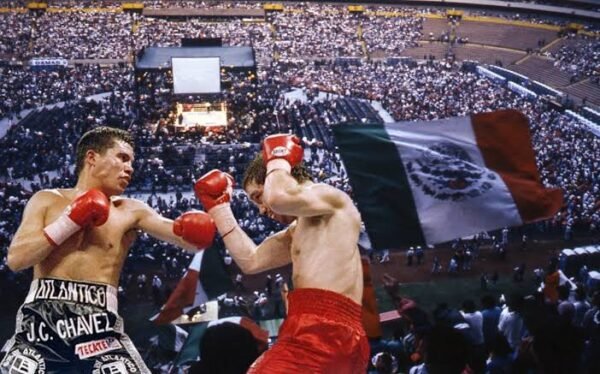 Which Fight Holds the Record for Highest Attendance in Combat Sports ...