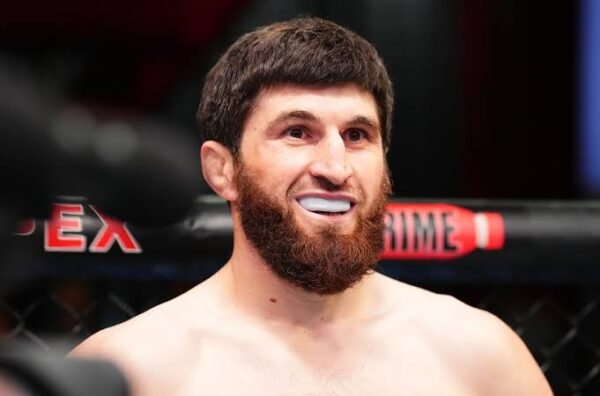 Magomed Ankalaev Net Worth: How Wealthy Is the UFC Light Heavyweight ...