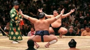 What Are the Levels in Sumo Wrestling? - Sidekick Boxing