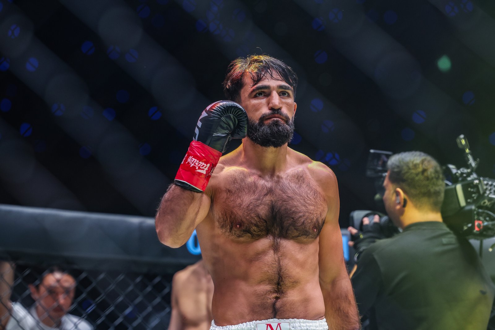 Boxing Weight Classes Explained with lb and kg Comparisons - Sidekick ...