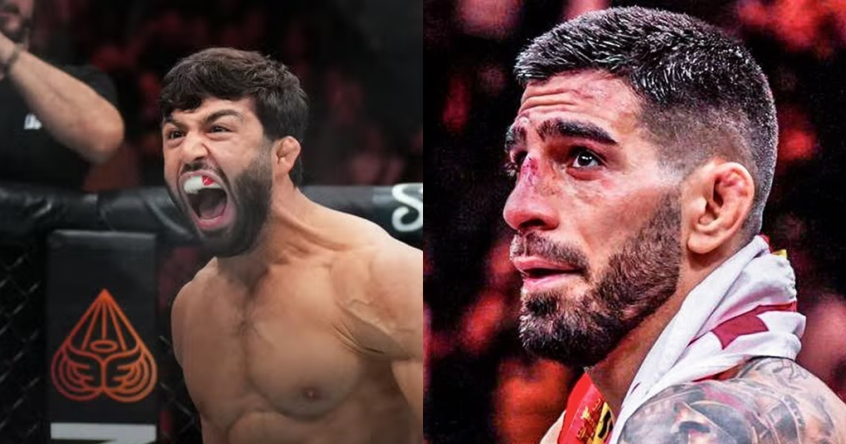 Dream Lightweight Matchups the UFC Must Book - Sidekick Boxing